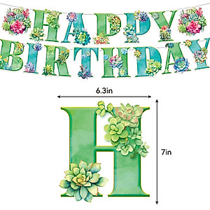 Succulent Plants Birthday Party Decorations Succulent Plants Party Supplies Includes Birthday Banner Cake Cupcake Toppers Hanging Swirls Balloons for Succulent Plant Birthday Baby Bridal Shower Decor