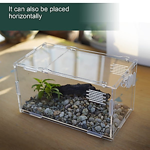 BETAZOOER Acrylic Mini Reptile Tank Habitat Transparent Terrariums with Locking Latch Suitable for Tarantula Isopod Roach Invertebrates (8''x6''x14'')