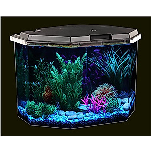 Koller Products 6.5-Gallon Aquarium Kit with Power Filter and LED Lighting, (AP650)