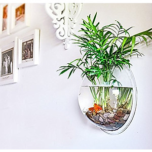 PRUGNA Wall-Hanging Fish Bowl Acrylic Wall-Mounted Plant Pot 1 Gallon Fish Tank 11.5-inches Decoration Planter