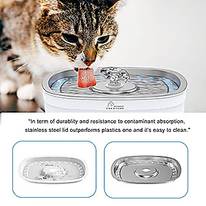 Cat Fountain Stainless Steel, 84oz/2.5L Automatic Pet Fountain with Water Level Window and LED Light for Water Shortage Alert