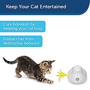 PetSafe Peek-A-Bird - Electronic Toy and Interactive Bird Hunt - Automatic Feather Toy for Bored and Anxious Cats - Kitten Teaser Toy - Automated Toy for Cat Enrichment and Exercise Small