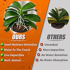 AVALUTION Orchid Potting Bark-3QT Organic Orchid Bark for Plants, All Natural Pine Bark Wood Chips Orchid Bark Potting Mix for Houseplant Mulch, Help Orchid Plants Root Health Development