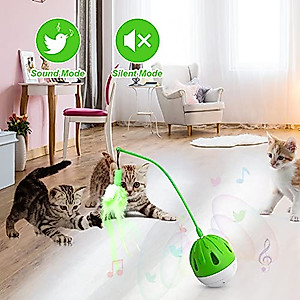 WINGPET Automatic Cat Toy Interactive Toys, Cat Feather Toys, Funny Swing Ball with Feather, Cat Exercise Toy with Sound, Pet Toys Ball with Detachable Rocker and 1 Light Ball (Green)