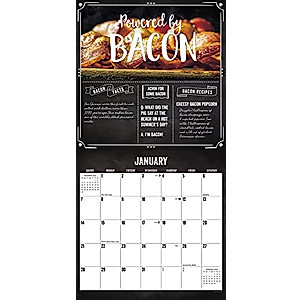 Willow Creek Press MMMMMMMM… Bacon Monthly 2024 Wall Calendar (12" x 12")