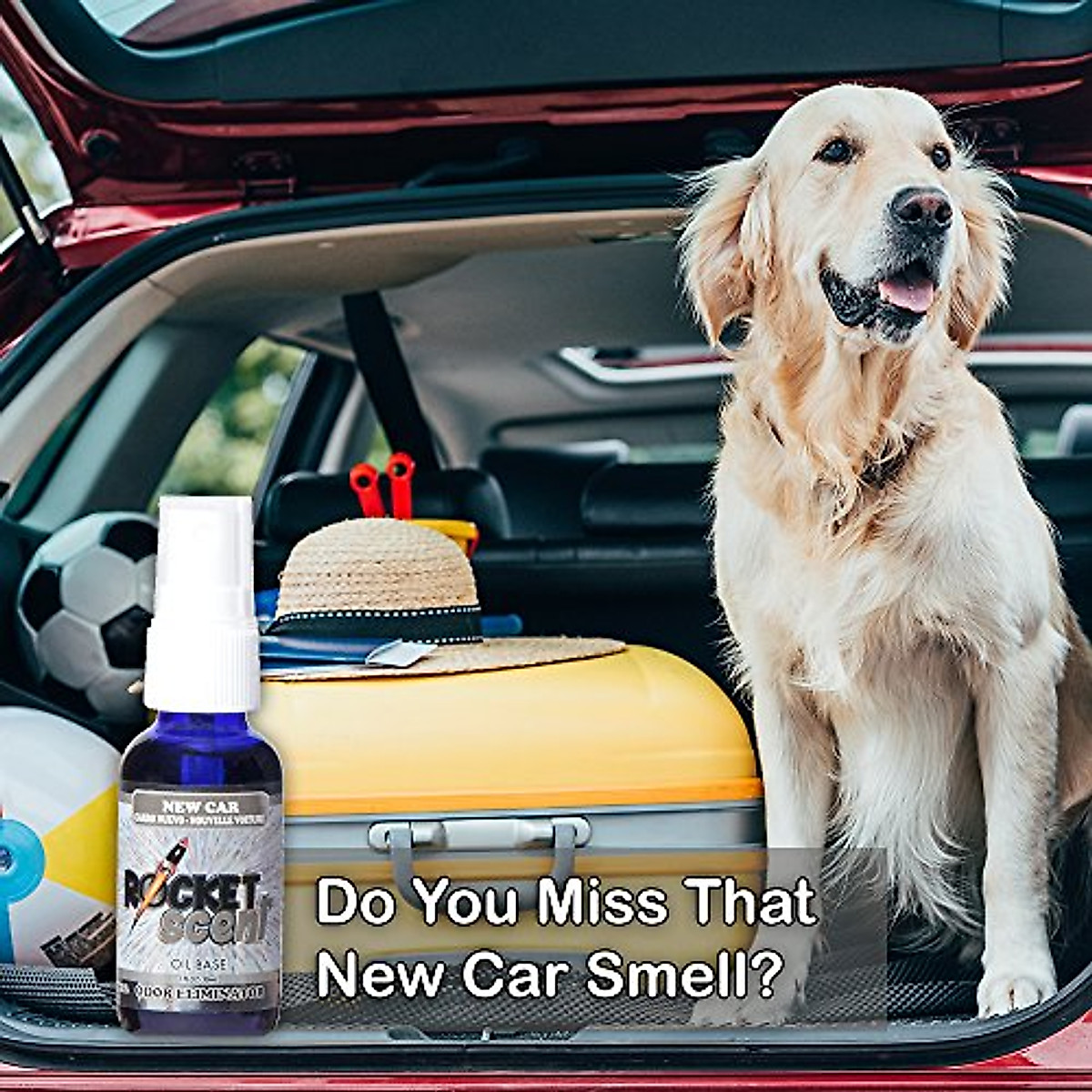 Rocket Scent - Oil Air Fresheners + Odor & Smoke Eliminator + Home, Car, Office, Bathroom Deodorizer + New Car, Mango, Fresh Linen, Powder Scent + Assorted 4 Pack