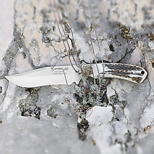 iFIELD Sport hunting knife Camper EL29013 survival knife with 5.5 inch blade, Outdoor knife includes brown leather sheath, Camping Tool for Fishing, Hunting, Sport Activity