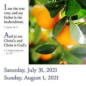 365 Bible Verses-A-Year Page-A-Day Calendar 2021