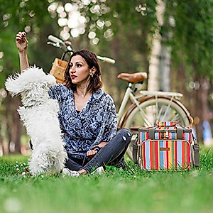 LUNCIA Large Lunch Bag 24-Can(15L) Soft Cooler Tote