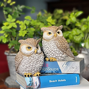 WHW Whole House Worlds Baby-Barn Owl Figurines, Set of 2, Gold, White and Yellow, Black Accents, Detailed Feathers, Hand Cast Resin, 4.75 Inches Each