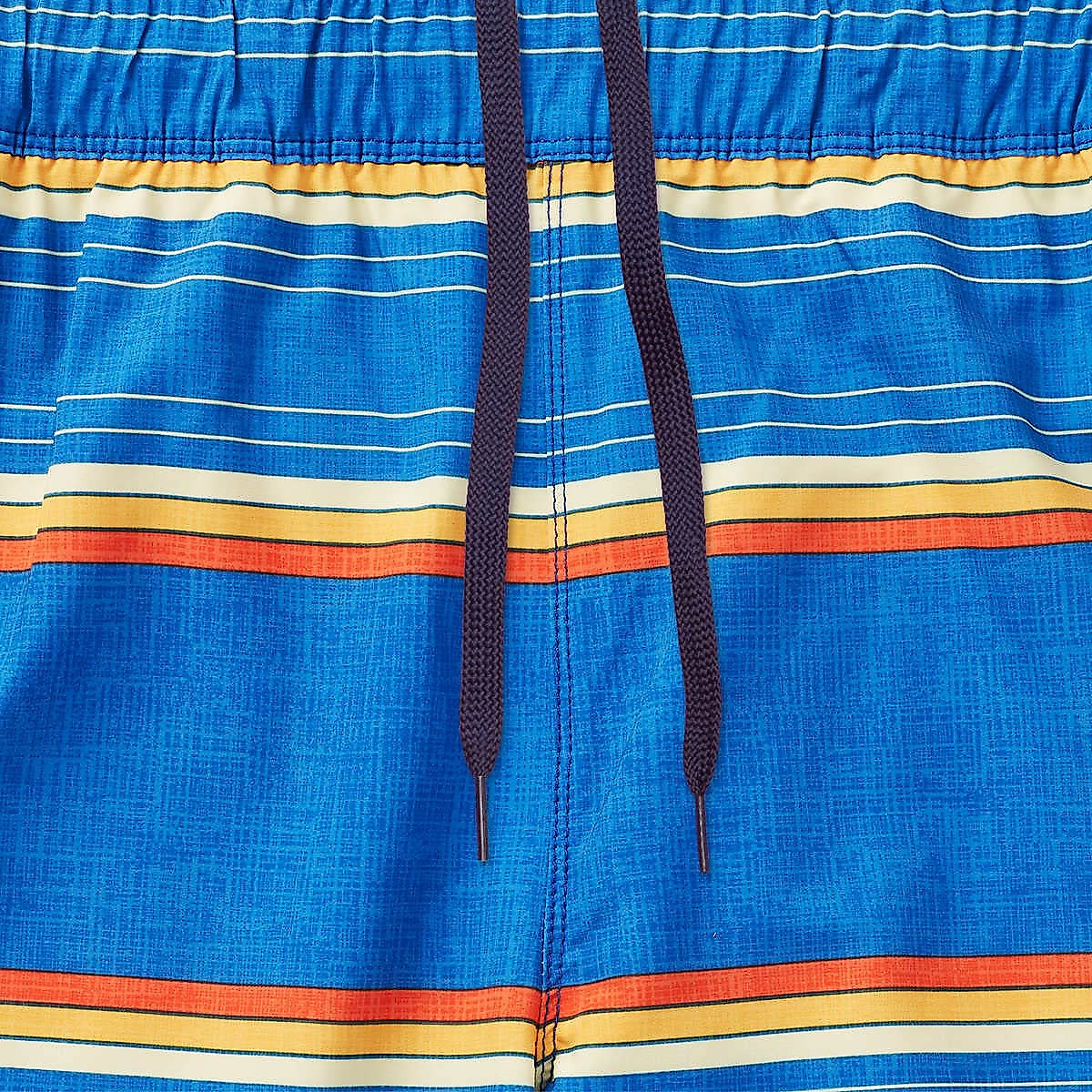 Speedo Mens Hydro Volley Swim Shorts Black (US, Alpha, XX-Large, Regular, Regular, Speedo Blue Stripe)