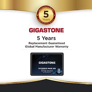 Gigastone Enterprise SSD 1TB NAS SSD Drive Cache (2-Pack) 24/7 Durable TLC High Endurance Business Server Data Center RAID Network Attached Storage 2.5" SATA Internal Solid State Hard Drives
