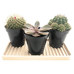 Happitasa Silicone Kitchen Sink Organizer Tray, Sponge Holder and Countertop Protector | Straight Lines Style (SAND DOLLAR, 10"x5.25")