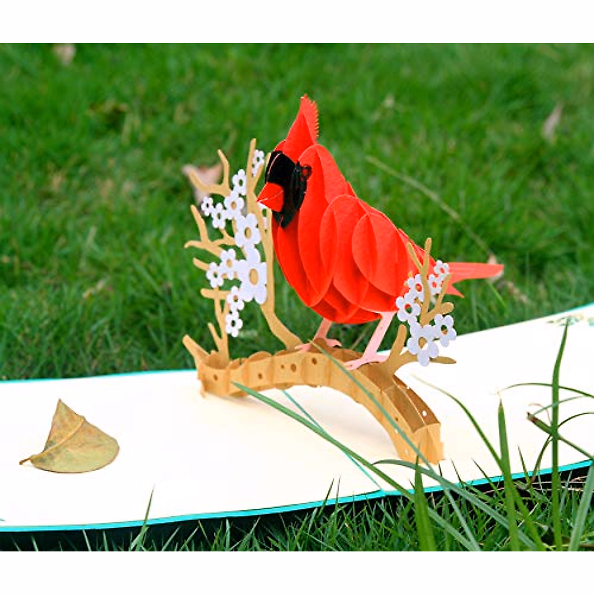 CUTPOPUP Mother's Day, Birthday Card Pop Up, 3D Greeting Card (Red Cardinal)