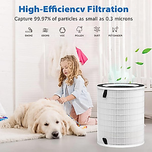 True HEPA Max Filter Replacement Compatible with Afloia MAX, MAGE, MAGE PRO Air Cleaner Purifier and Honati MAX AP2202I and Sans Large room Air Cleaner Cleaner Purifiers, 2 Pack