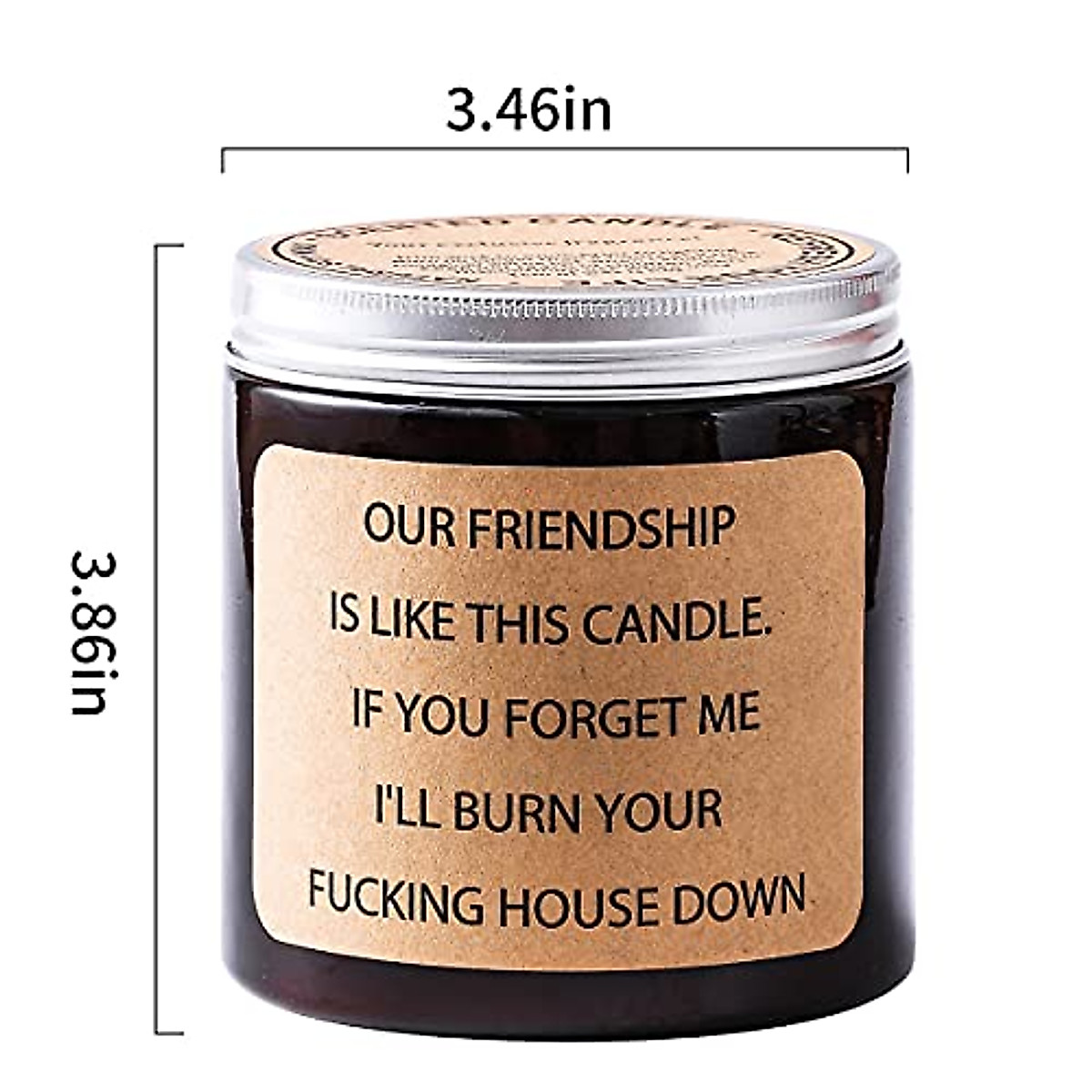 PMCDS2G Scented Candles Best Gift for Men & Women Birthday 14oz 100hour Long Burn Time Lavender Fragrance (Our Friendship is Like This Candle. IF You Forget ME I'll Burn Your FXXKING House Down.)