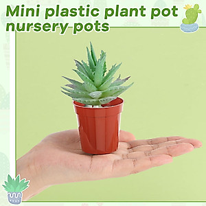 Yaomiao 200 Pcs 2 Inch Red Mini Plastic Plant Pot Nursery Seedling Pots Seed Starter with Drainage Holes for Indoor Outdoor Garden Succulent Plants Cuttings Transplanting