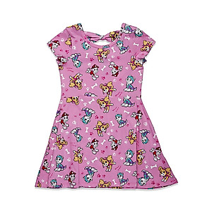 Paw Patrol Skye Marshall Everest Toddler Girls Skater Dress Pink 3T