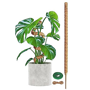 47 Inch Moss Pole for Plants Monstera, Bendable Plant Stakes for Climbing Plants, Monstera Moss Pole, Bendable Coco Coir Plant Support, Plant Sticks Support for Indoor Plants (1 Pack)
