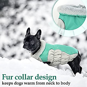 MKubwaa Polar Fleece Dog Jacket, Reflective Dog Cold Weather Coat Vest for Small Medium Dogs, Winter Waterproof Puppy Clothes with Fur Collars, Comfortable Thicken Pet Winter Apparel(Green-S)