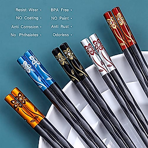 HuaLan Fiberglass Chopsticks Series - Japanese Non-Slip Chopstick, Reusable Chop Sticks Dishwasher Safe, 5 Pairs, Gift Set, 9.9 Inches
