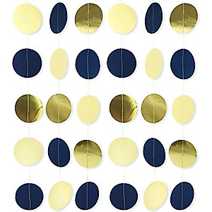 1st Birthday Boy Prince Party Supplies Navy Gold Birthday Party Decorations Blue Happy Birthday Banner Paper Star Garland Paper Flowers Tissue Paper Pom Poms Paper Lanterns for Boy First 1st Birthday