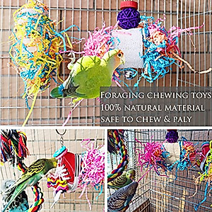 PBIEHSR Parakeet Bird Shredding Toys, Cockatiel Loofah Foraging Toys Shredder Chewing Toy for Conures, Love Birds, Budgie, Small Parrots