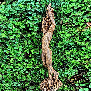 ALMOXVYE Forest Goddess Statue Resin Jewelry Garden Crafts Tree Monster Statue Green Man Resin Forest Goddess Male God Statue Jewelry Ornaments (Male god)