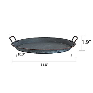 Funerom Industrial Style Metal Iron Tray,Black Galvanized Tin Color (11.8 inch)
