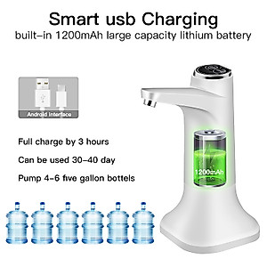 YALAMI Silver with White Accents Modern 600 milliliters Countertop Corded Electric Water Dispenser