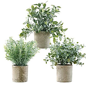 Gleenwave Artificial Plants 3 Potted Mini Fake Plants Artificial Eucalyptus Decorative Plants for Home Decor Indoor Room Table Office