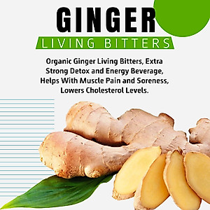 Herboganic Ginger Living Bitters | All Natural Living Bitters | 16 oz