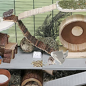 LIZHOUMIL Ceramic Hamster Hideout,Pet Hideout Hut Cave,Wear-Resistant Anti-bite,Hide Cooling Bed Caves Cage Also Suitable for Mice,Golden Bear,Other Small Animals