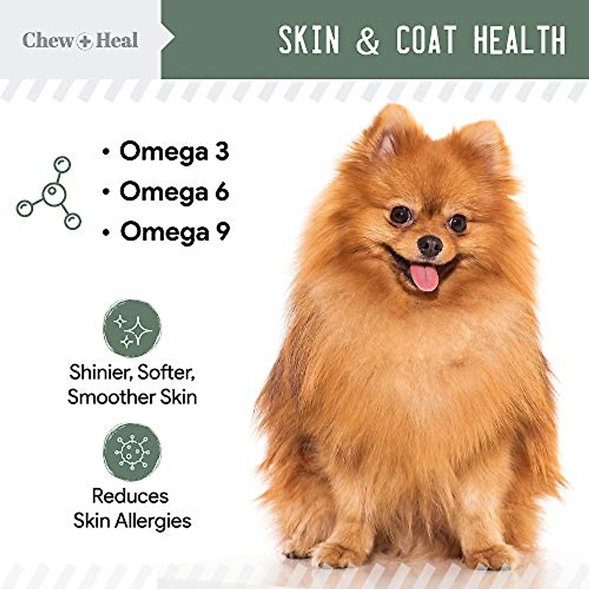 Chew + Heal All in 1 Dog Vitamin - 120 Soft Chew Treats - Chewable Multivitamin with Probiotics, Digestive Enzymes, for Skin and Coat, Hip and Joint Support - with Omega, Calcium - Made in The USA