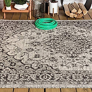 JONATHAN Y SMB102D-4 Rozetta Boho Medallion Textured Weave Indoor Outdoor Area -Rug Coastal Bohemian Rustic Glam Easy -Cleaning Bedroom Kitchen Backyard Patio Non Shedding, 4 X 6, Gray/Black