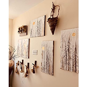 Pack of 4 Vintage Real Wood Tree Branch Wall Hook,Rustic Decorative Wood Adhesive Hooks. Key Holder, Coat Hook,Strong Suction Hooks.(Width 2cm-3cm)