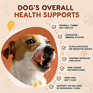 Probiotics for Dogs, Dog Probiotics for Digestive Health, Plus Pumpkin and Fish Oil, for Gut & Itchy, 120 Soft Chews