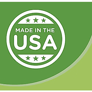 Amazon Basics Everyday Paper Plates, 10 Inch, Disposable, 150 Count