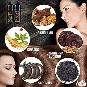 500ml Natural Herbal Black Color Instant Dye Shampoo, 3 in 1 Moisturizing and Smoothing Shampoo for Easy-to-use Hair Dyeing (Dark wine red)