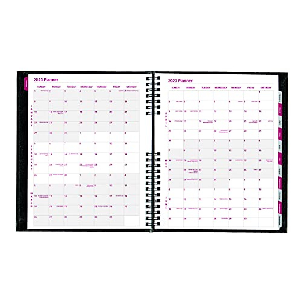 Brownline 2023 CoilPro Monthly Planner, 14 Months, December 2022 to January 2024, Twin-Wire Binding, 8.875" x 7.125", Black (CB1200C.BLK-23)