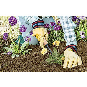 AMES 2447000 Tempered Steel Hand Weeder with Wood Handle, 12-Inch, Multi