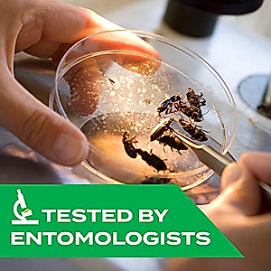 STEM Kills Ants, Roaches and Spiders: Plant-Based Active Ingredient Bug Spray, Botanical Insecticide for Indoor and Outdoor use; 10 oz