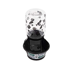 Lixit Reversable Water or Dry Food Feeders for Cats and Dogs (Small, Black)