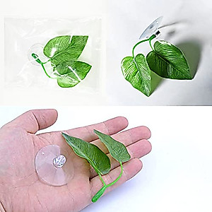 Zickupy 2Pack Beta Leaf Bed Fish Resting Leaf Betta Hammock Beta Tank Decorations Aquarium Plants Betta Fish Accessories for Small Tank