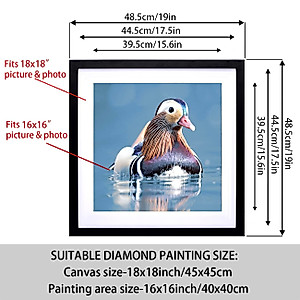 ZZFQXZ 18x18inch Diamond Painting Frame for Diamond Art Painting 16x16inch Display Pictures 16x16inch/40x40cm With Mat or 18x18inch/45x45 cm Without Mat , Wood Square Wall Photo Frame Black (ZK007)