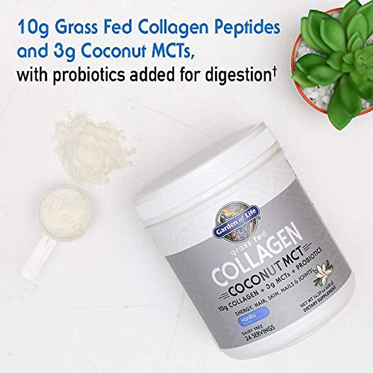 Garden of Life Grass Fed Collagen Coconut MCT Powder - Vanilla, 24 Servings, Collagen Powder for Energy Hair Skin Nails Joints, Collagen Peptides Powder, Coconut MCTs, Collagen Protein Supplements
