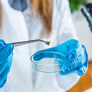 Petri Dishes with Lids Glass Petri Dishes Culture High Borosilicate Petri Dishes 5Pcs