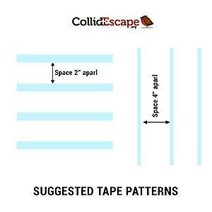 CollidEscape Spiderweb Clear Bird Tape for Windows (3/4" x 40' - Covers 2 to 3 Windows) | Window Decals to Prevent Bird Strike Prevention for Windows | Clear