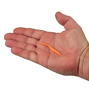 Berkley PowerBait Power Floating Trout Worm Fishing Bait, Fluorescent Orange, 3in | 8cm, Irresistible Scent & Flavor, Realistic Worm Profile, Ideal for Trout and More