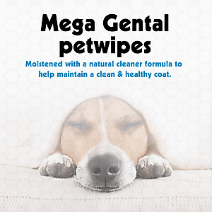 Petkin Mega PetWipes, 200 Wipes - Pet Wipes for Dogs and Cats - For Face, Paws, Ears, Body and Eye Area - Super Convenient Dog Cleaning Wipes, Ideal for Home or Travel - Easy to Use